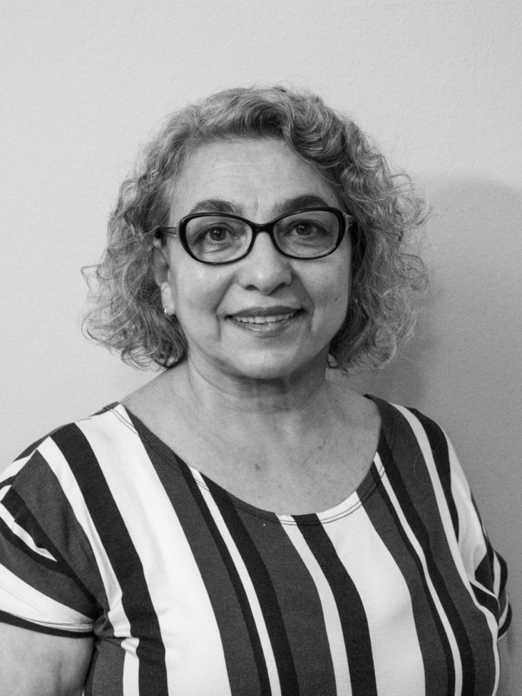 Doutora Rosangela Saad – Palmilhas Especiais